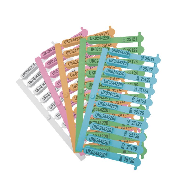 Z For Sheep Visual Management Tags • Datamars Livestock (Kiwikit)